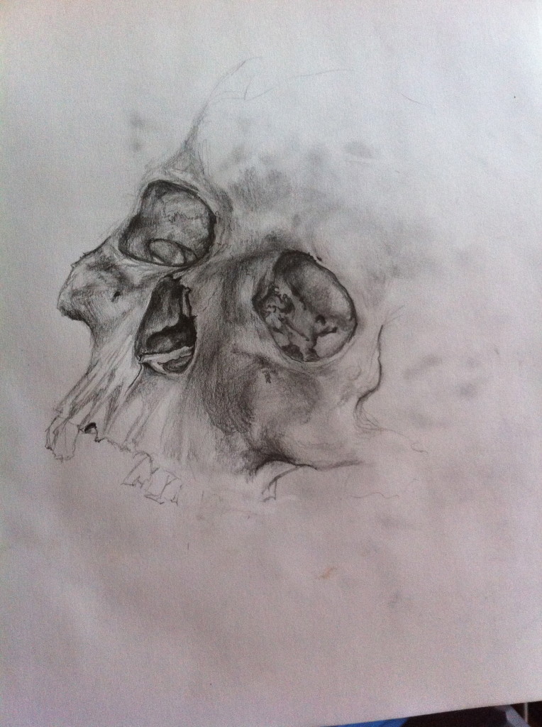 Skull Sketch – Shawland